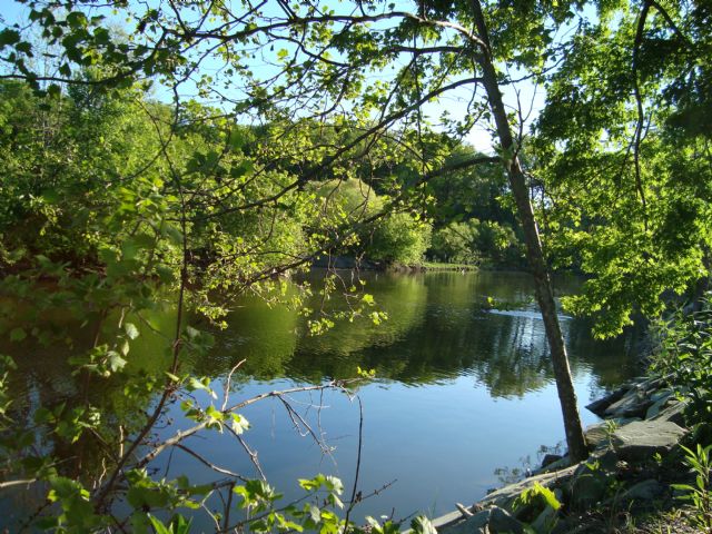 Home - Riverview RV Park and Marina